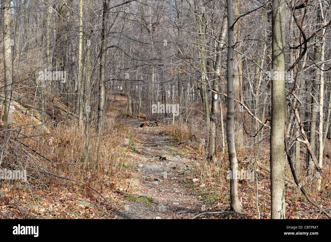 The bruce trail hi-res stock photography and images - Alamy