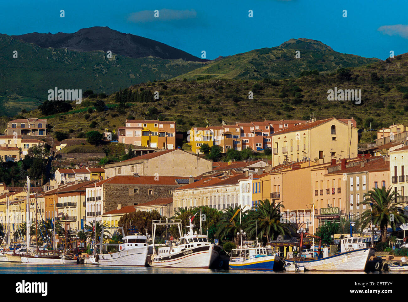 Port-Vendres, Pyrenees-Orientales, Languedoc-Roussillon, France Stock ...