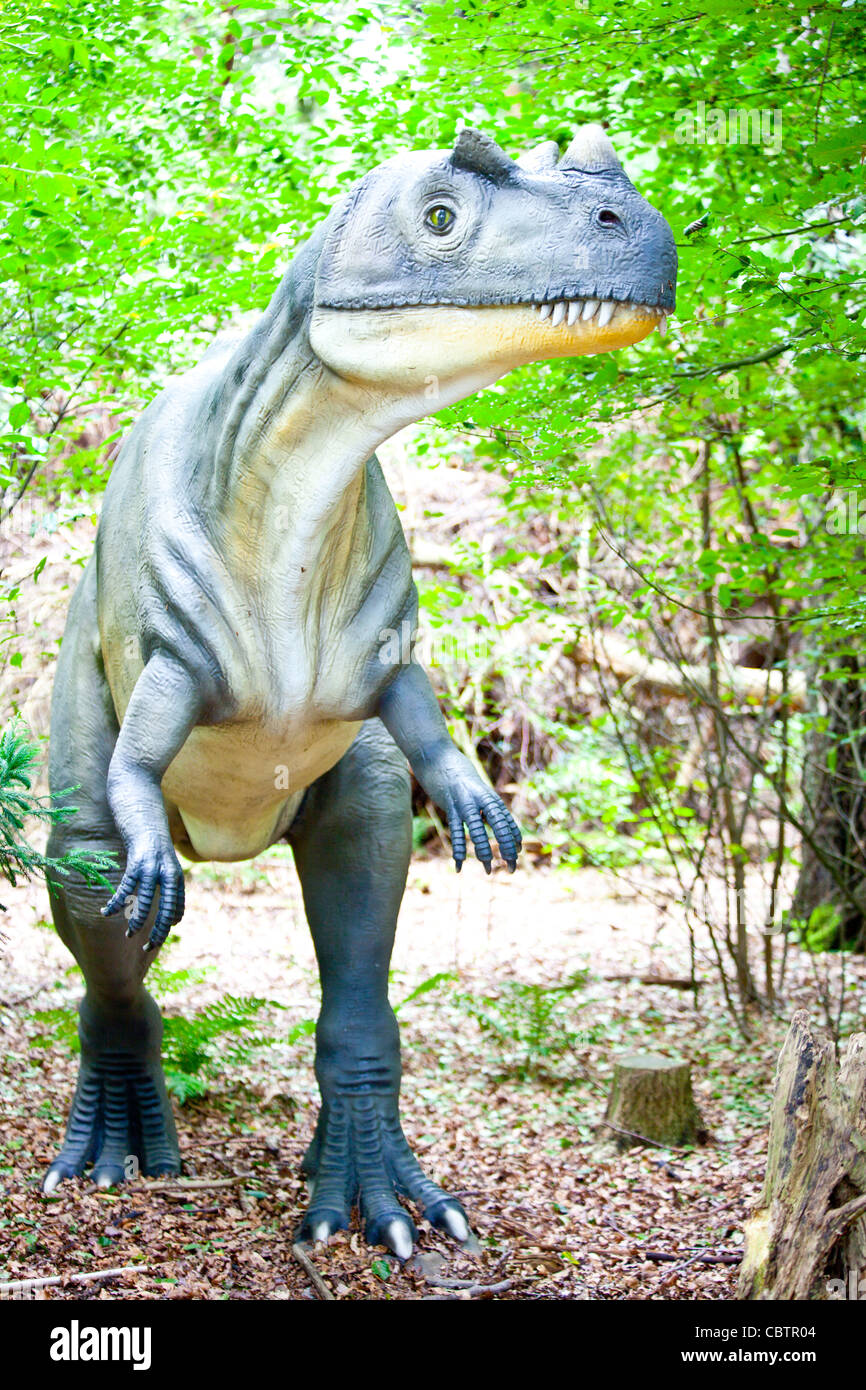 Ceratosaurus hi-res stock photography and images - Alamy