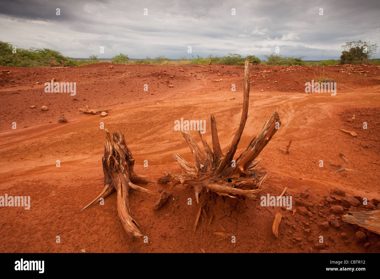 Eroded soil in Sarigua national park (desert) in Herrera province ...