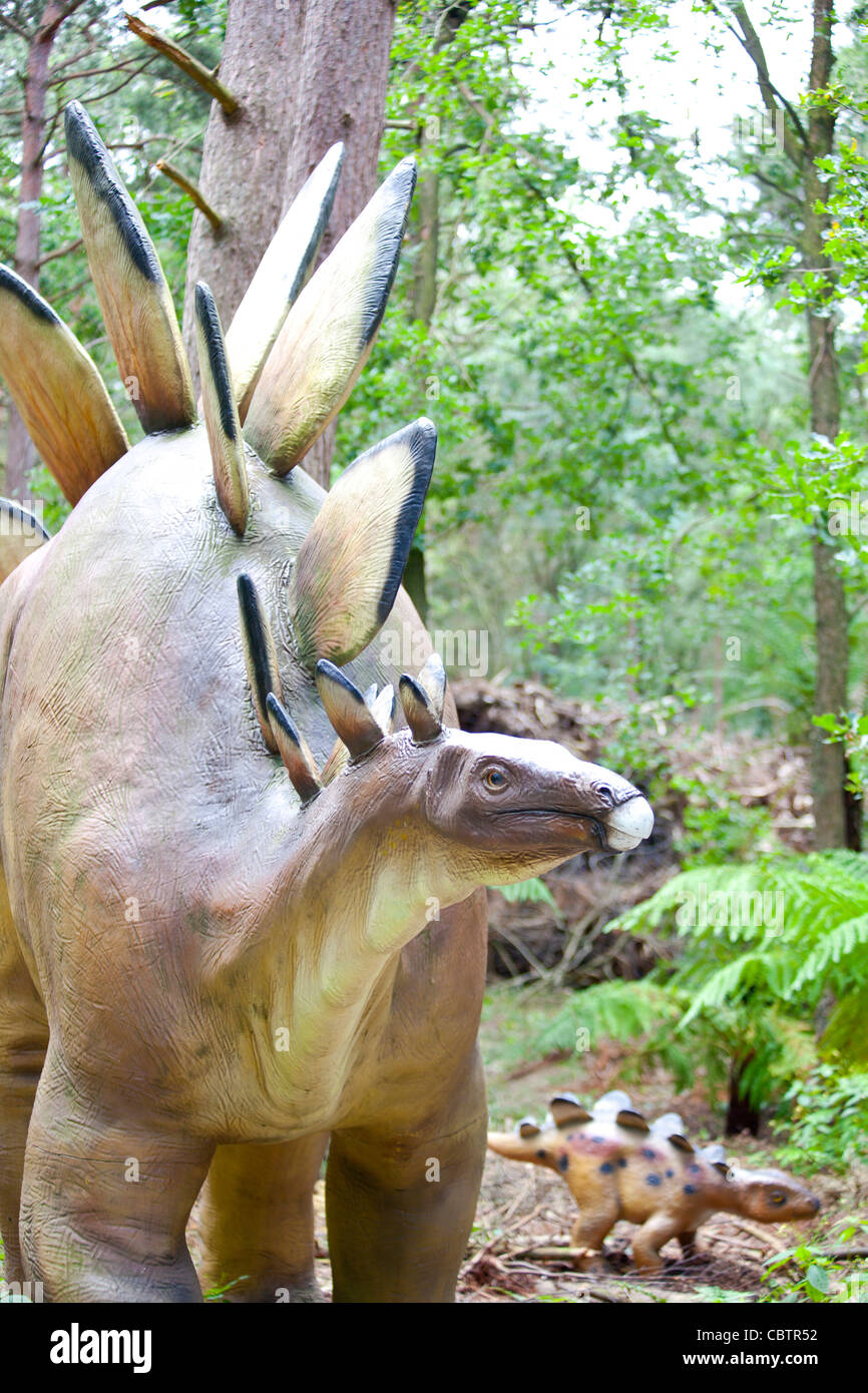 Stegosaurus tooth hi-res stock photography and images - Alamy