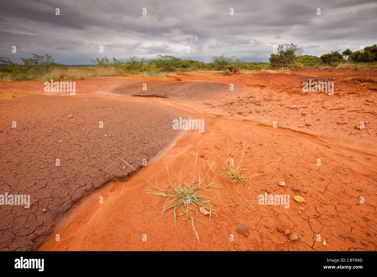 Sarigua national park (desert) in Herrera province, Republic of Panama ...
