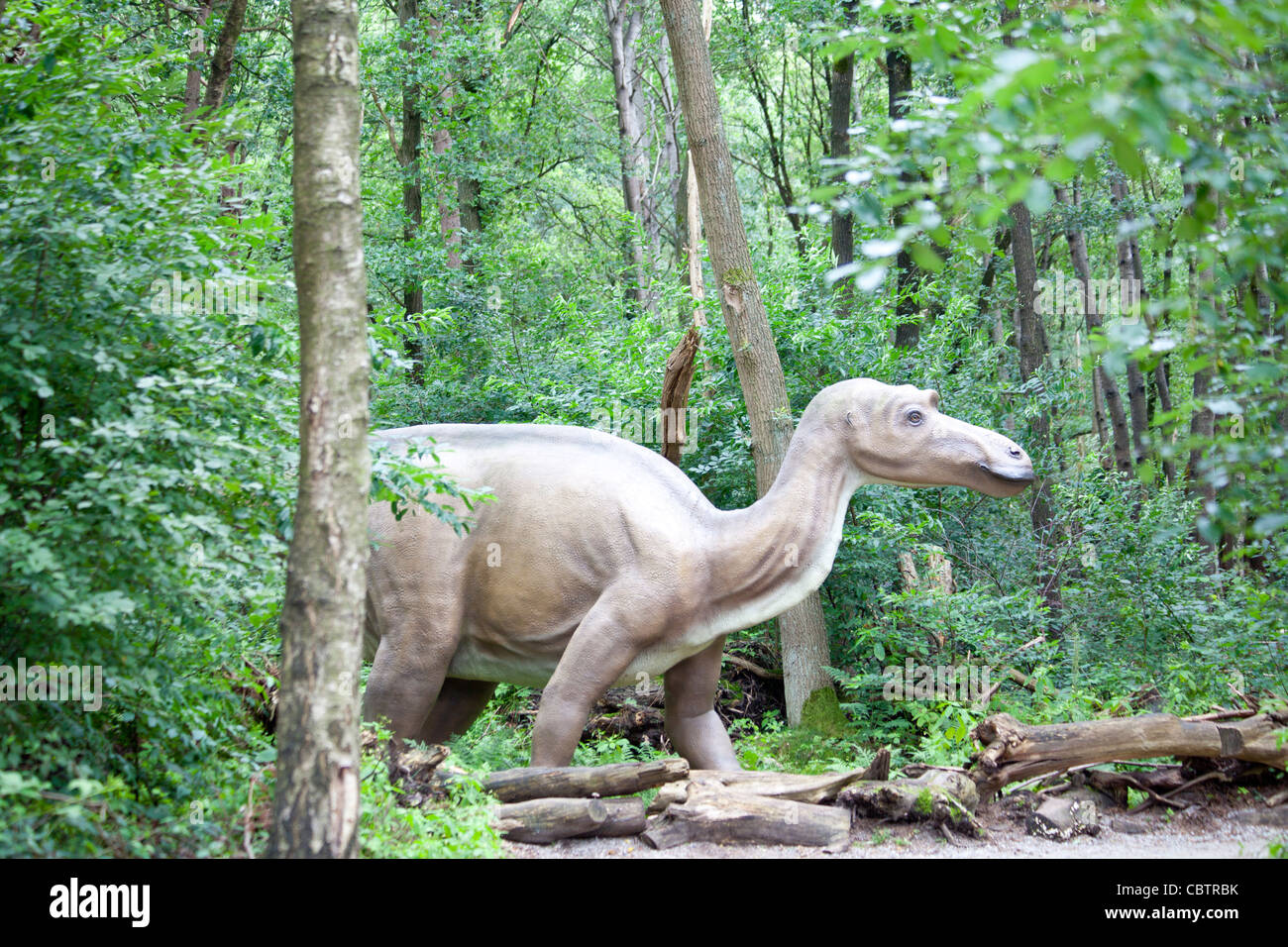 Maiasaurus in woods Stock Photo - Alamy
