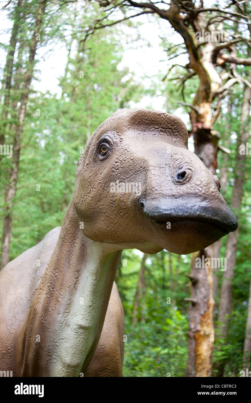 Maiasaurus in woods Stock Photo - Alamy