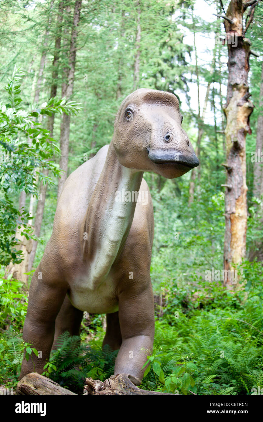 Maiasaurus in woods Stock Photo - Alamy