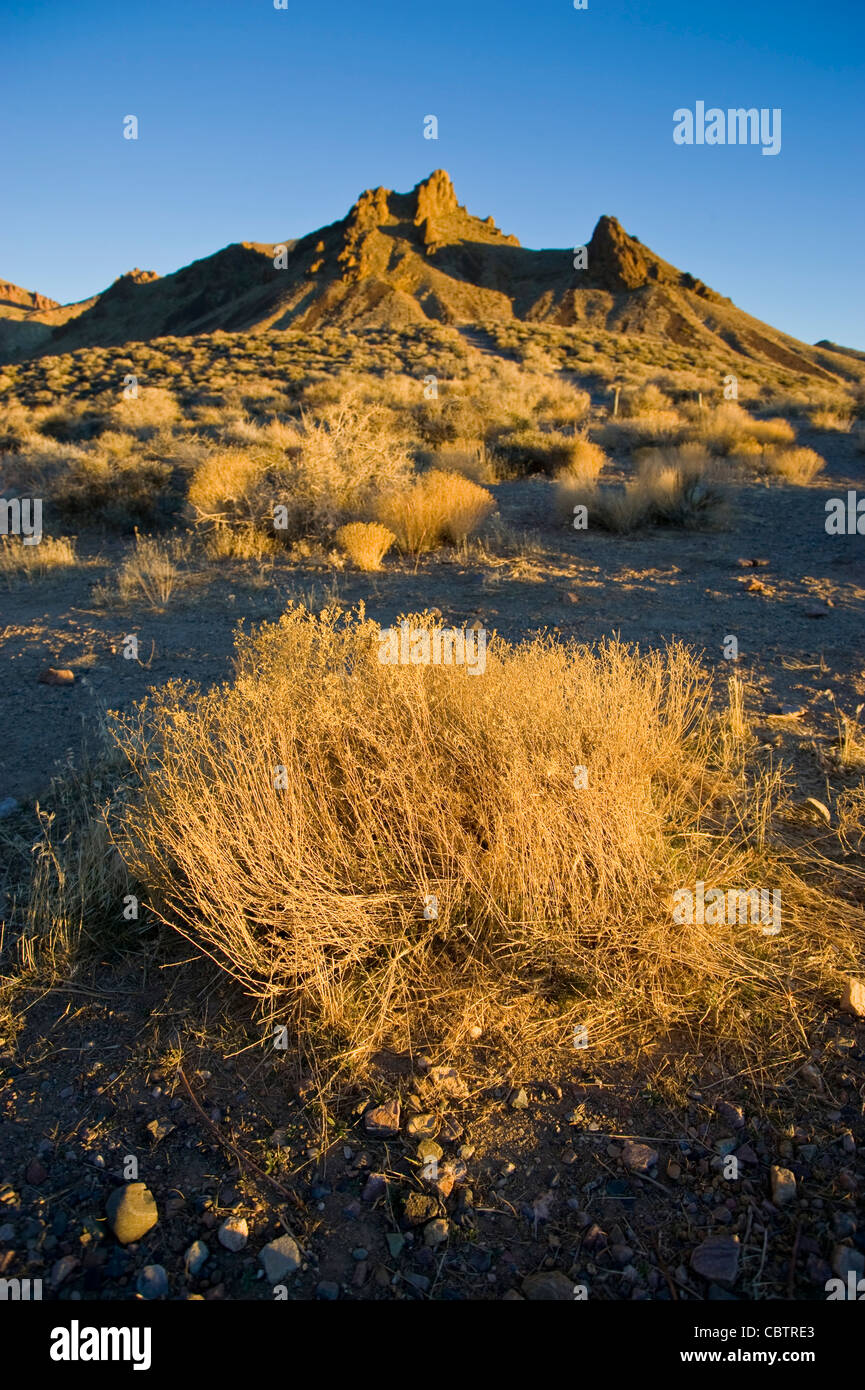 Sunrise in nevada desert hi-res stock photography and images - Alamy