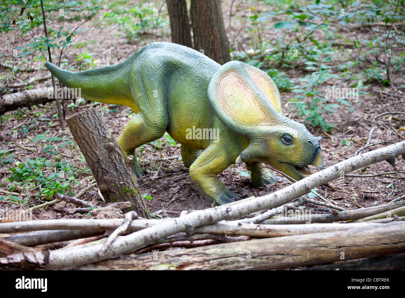 Protoceratops hi-res stock photography and images - Alamy
