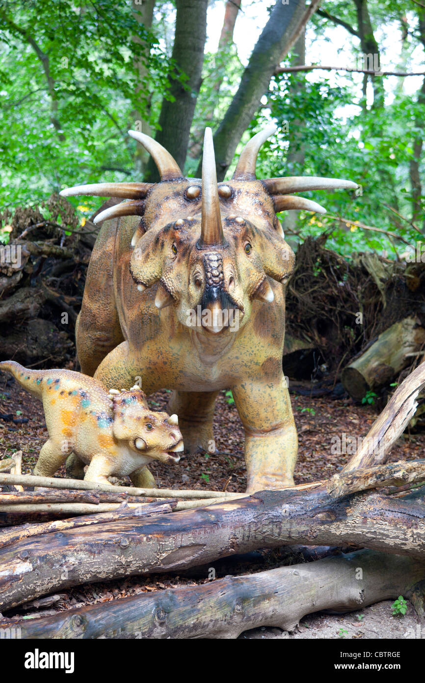 Styracosaurus museum hi-res stock photography and images - Alamy