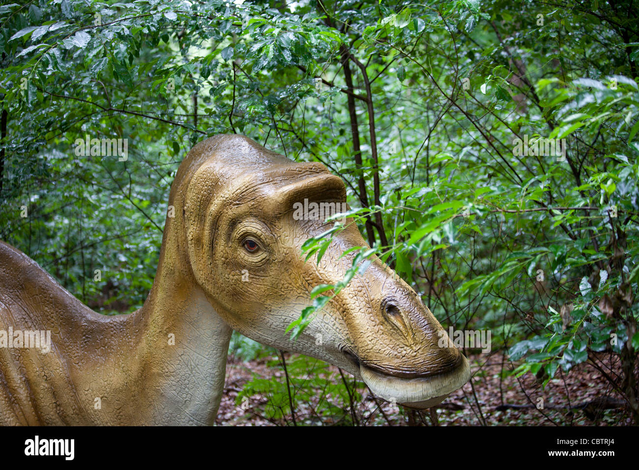 In maia hi-res stock photography and images - Alamy