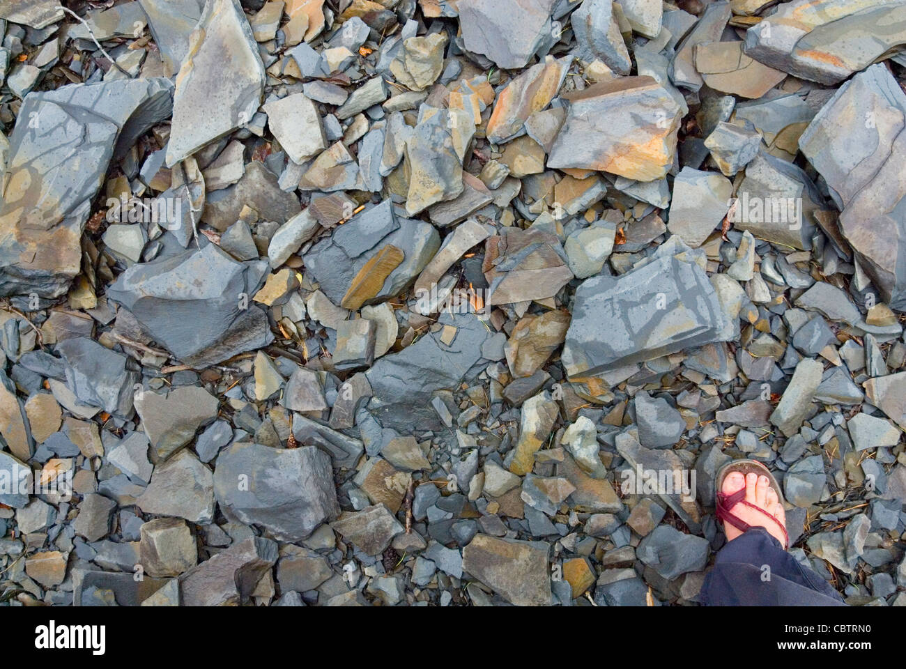 Subtle Colours of Sharp Slate Rocks Littering the Ground, Background ...