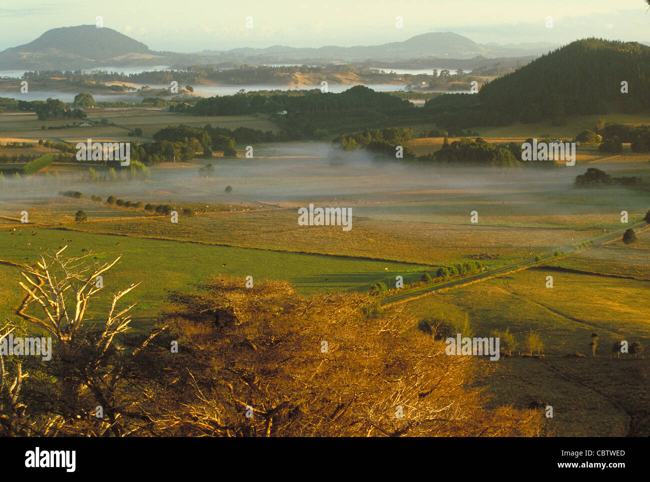 Mist Covering Fields Stock Photo - Alamy