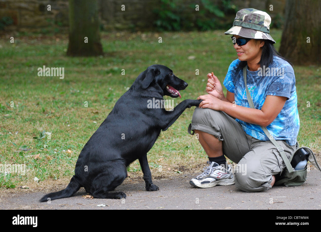 asian pet owner with a happy black Labrador dog Stock Photo - Alamy