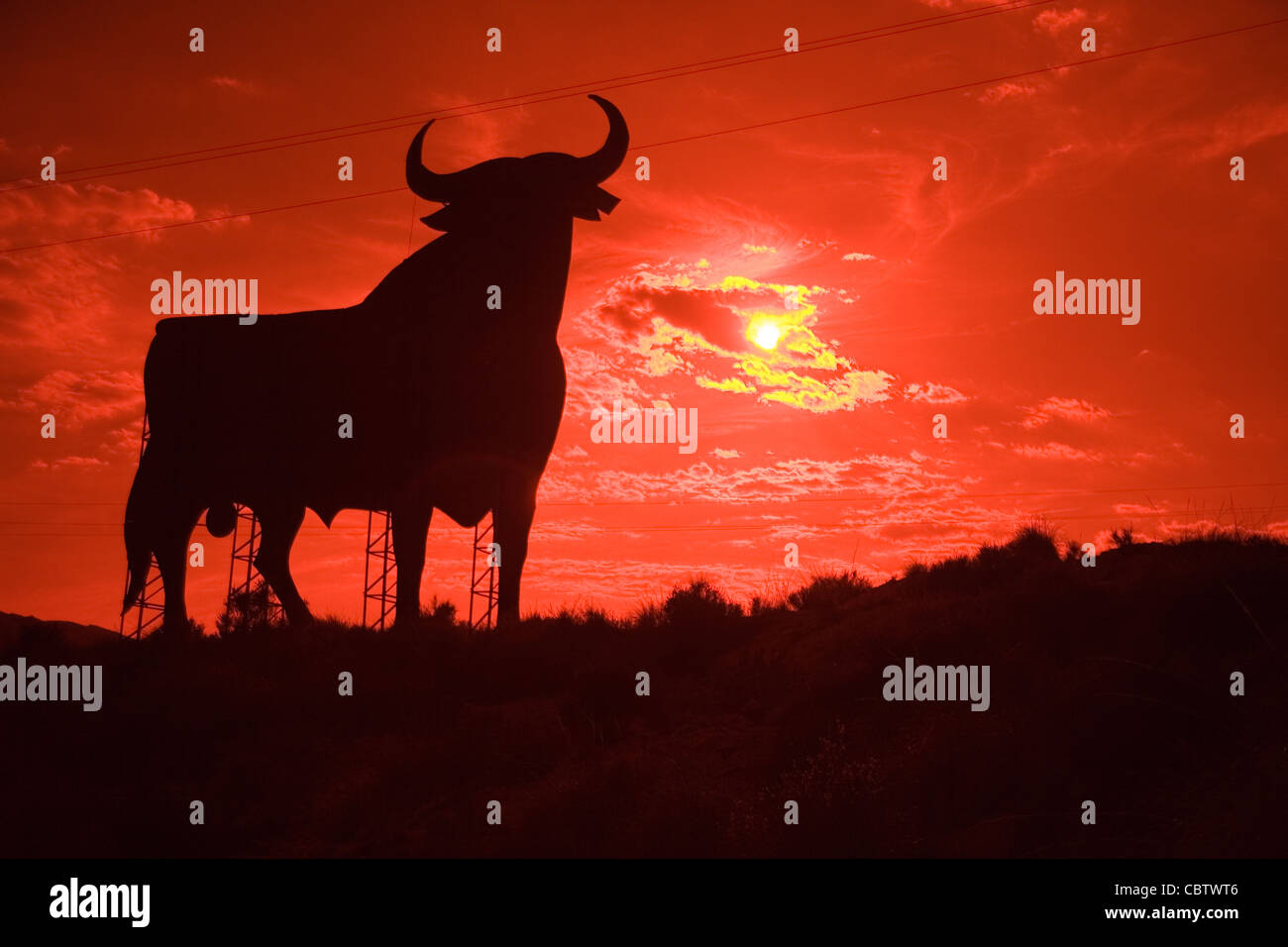 Against bull fighting hi-res stock photography and images - Alamy