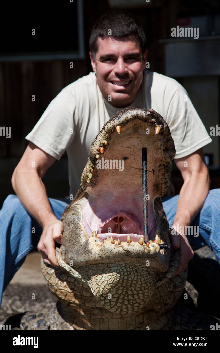 A hunter shows off a 12-foot alligator he caught during the 3-week long ...