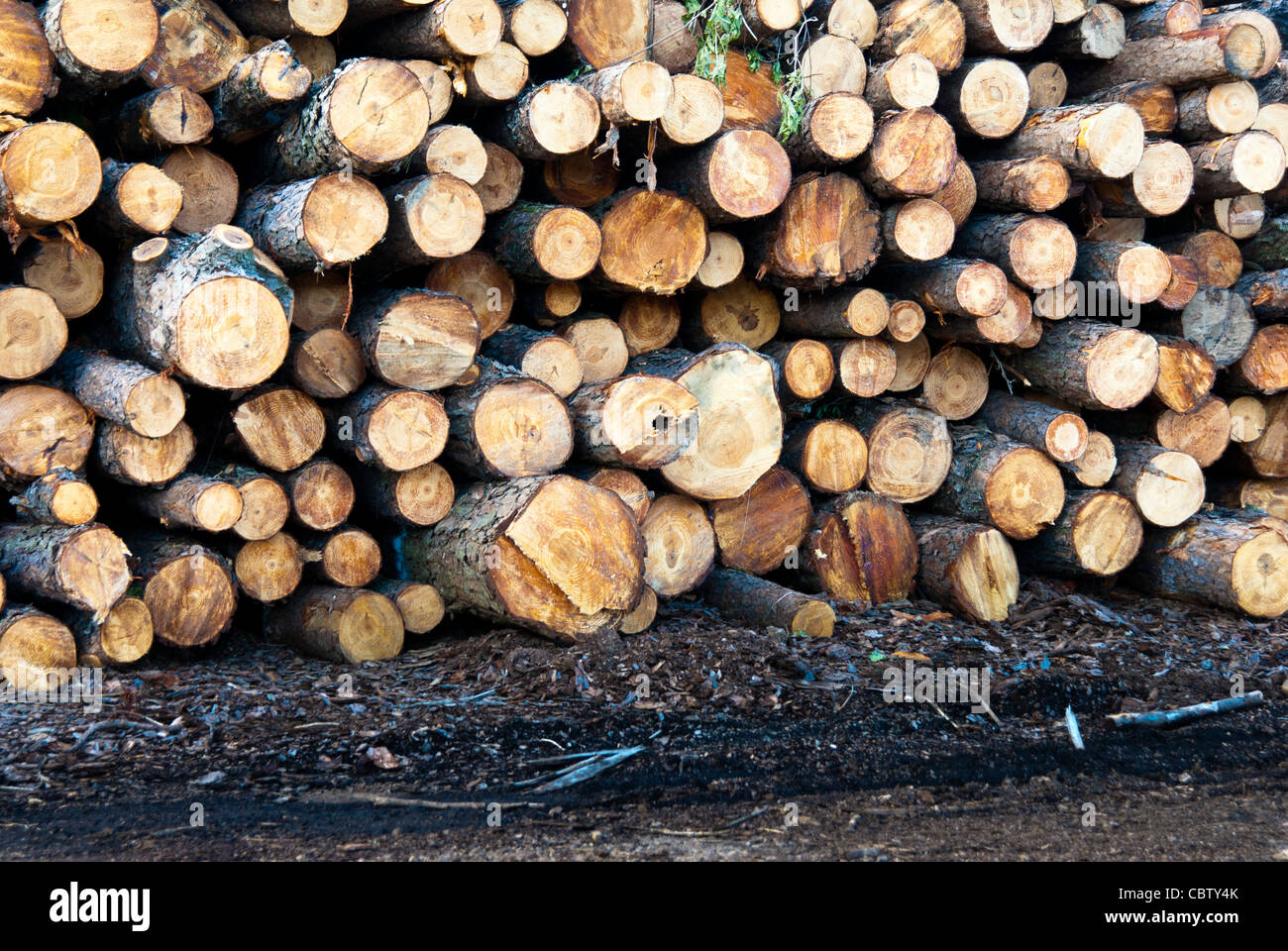 Arkansas industry hi-res stock photography and images - Alamy