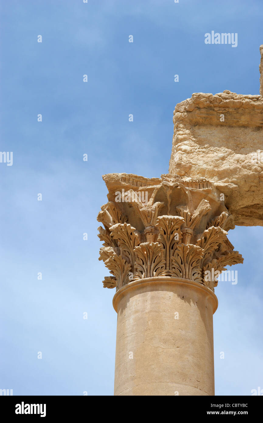 Ancient columns close up, Palmyra ruins, Syria Stock Photo - Alamy