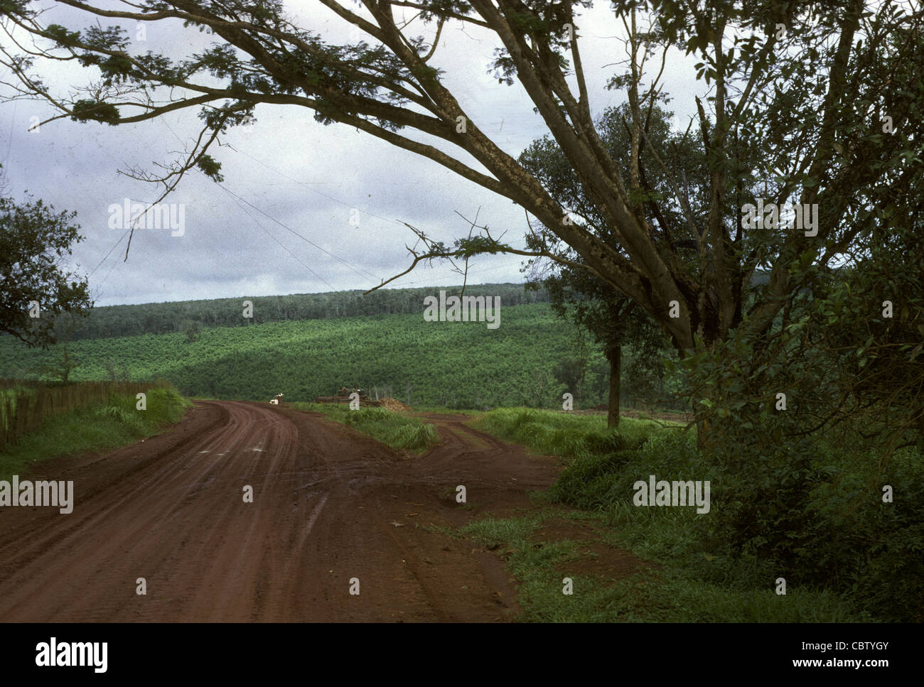 Quan loi vietnam hi-res stock photography and images - Alamy