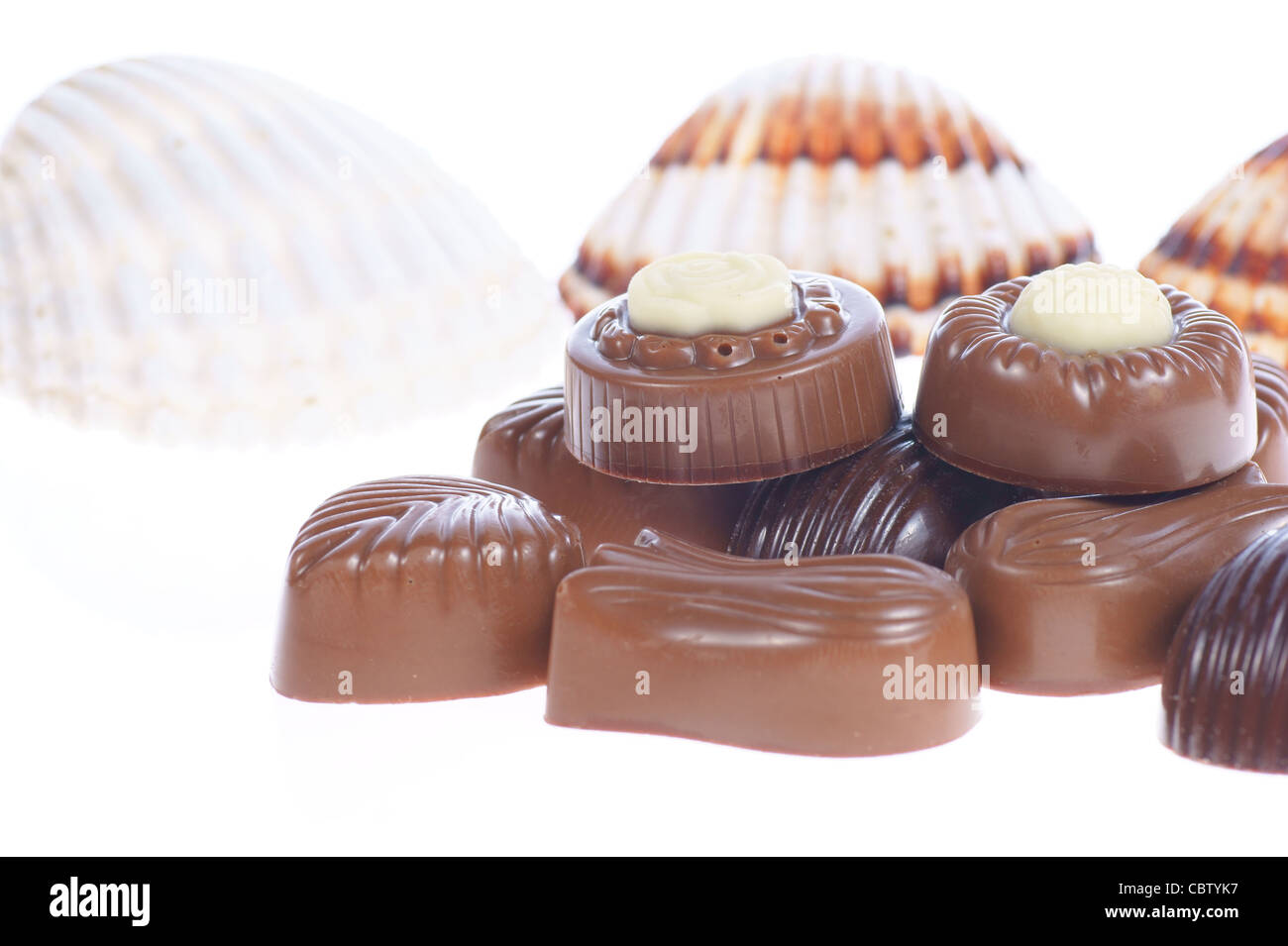 chocolate pralines and shells on white background. Delicious dark and ...