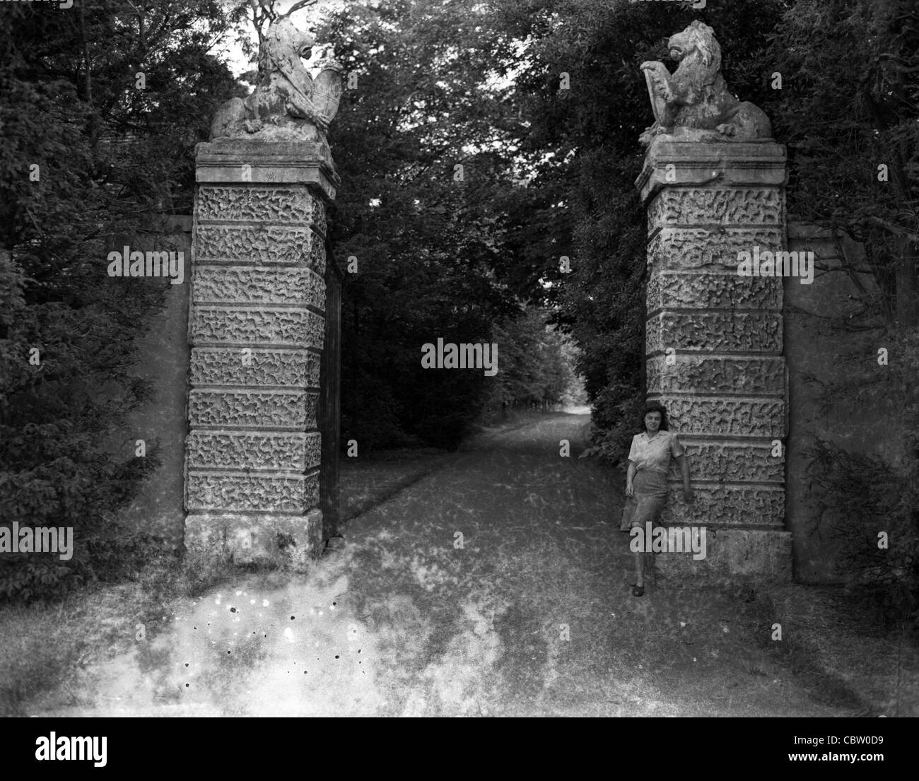Gates forest Black and White Stock Photos & Images - Alamy