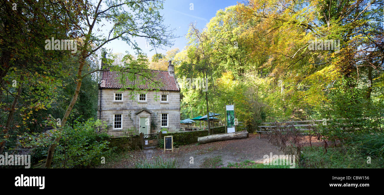 Panoramic image of Midge Hall Tea garden Stock Photo - Alamy