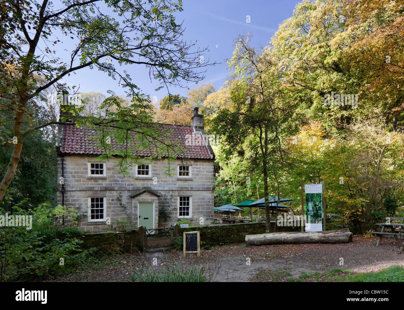Midge Hall Tea Garden Stock Photo - Alamy
