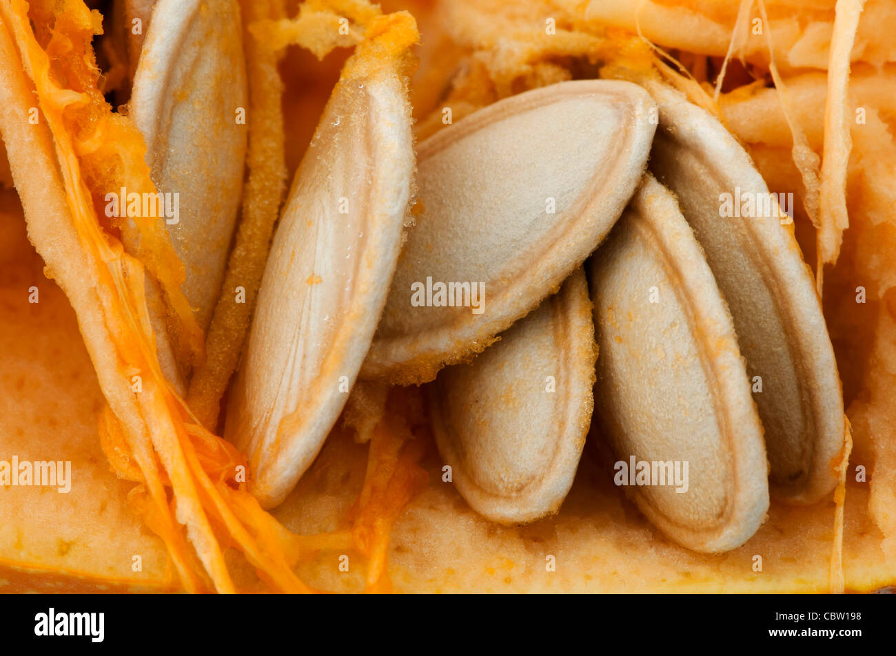 Seeds inside the pumpkin. Very close up Stock Photo - Alamy