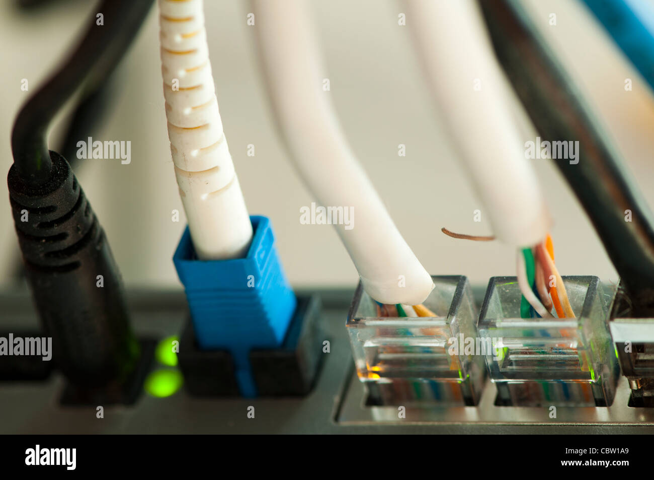 Jacks of the LAN cable plugged in the router. Very close uo Stock Photo ...