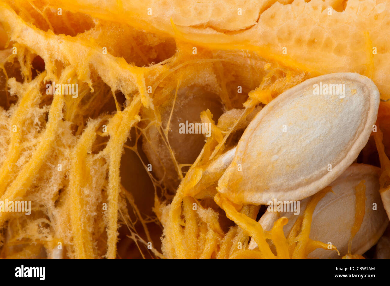 Seeds inside the pumpkin. Very close up Stock Photo - Alamy