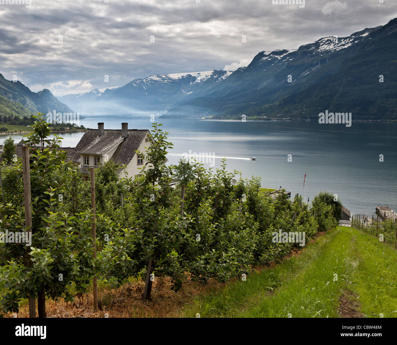 Orchard High Resolution Stock Photography and Images - Alamy