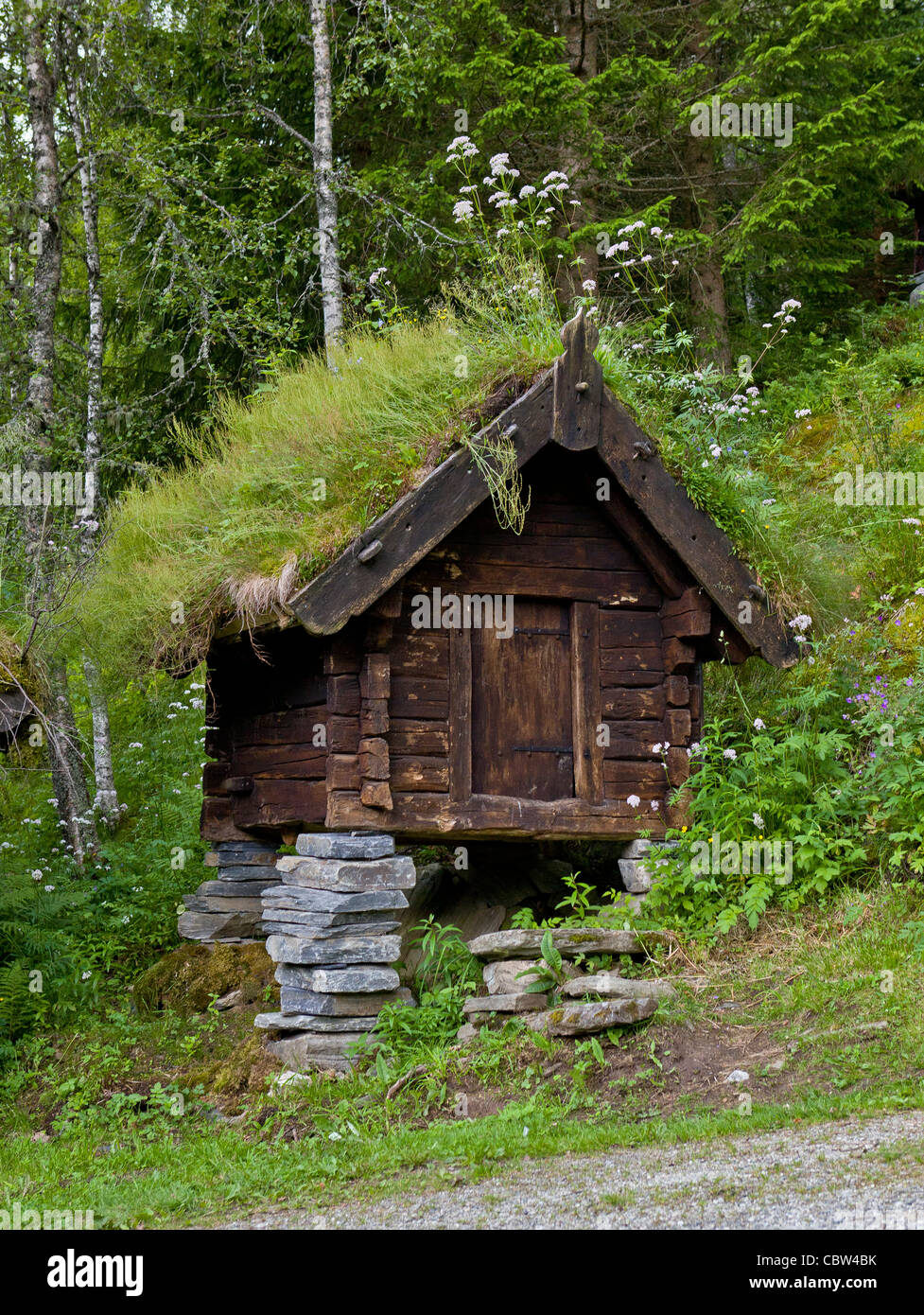 Log cabin forest hi-res stock photography and images - Alamy