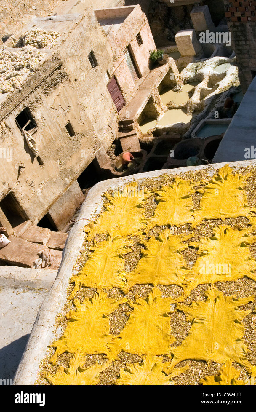 Leather hides drying in the sun at the tanneries of Fez, Northern ...