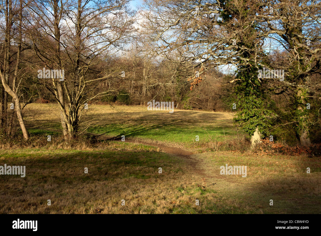 Typical english country scene hi-res stock photography and images - Alamy