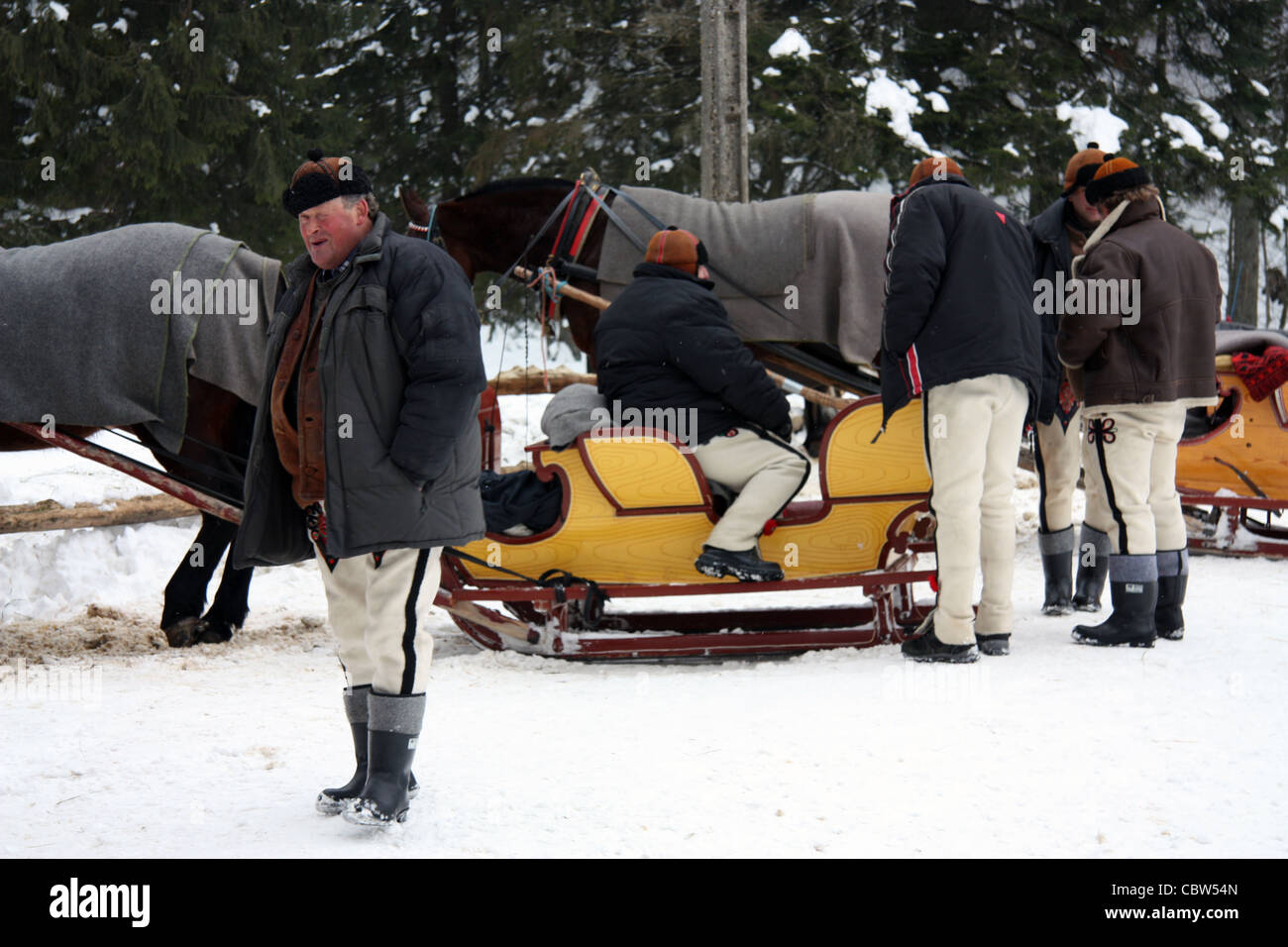 Horse sled hi-res stock photography and images - Alamy