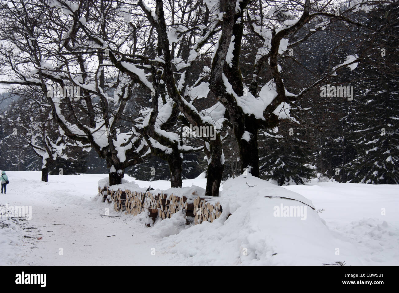 Zakopane poland winter hi-res stock photography and images - Alamy