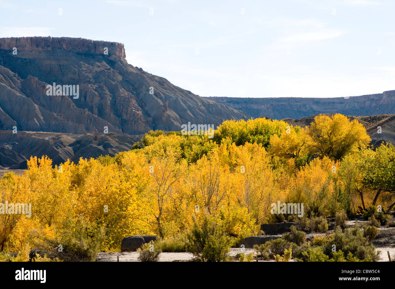 Fall colors Capital Reef National Park Utah Stock Photo - Alamy
