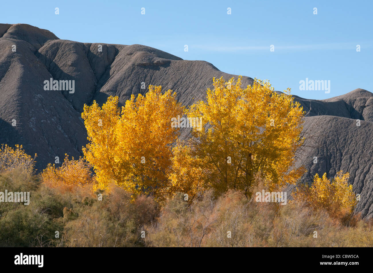 Fall colors Capital Reef National Park Utah Stock Photo - Alamy
