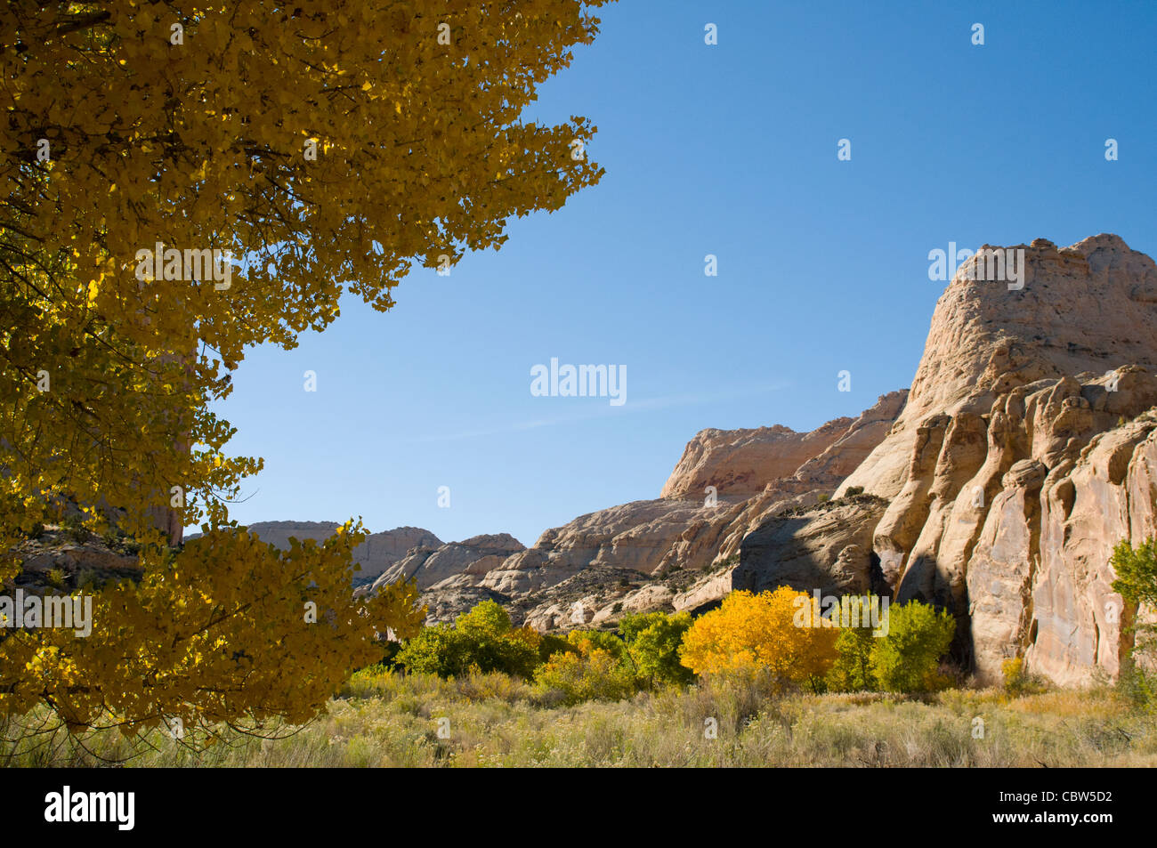 Fall colors Capital Reef National Park Utah Stock Photo - Alamy