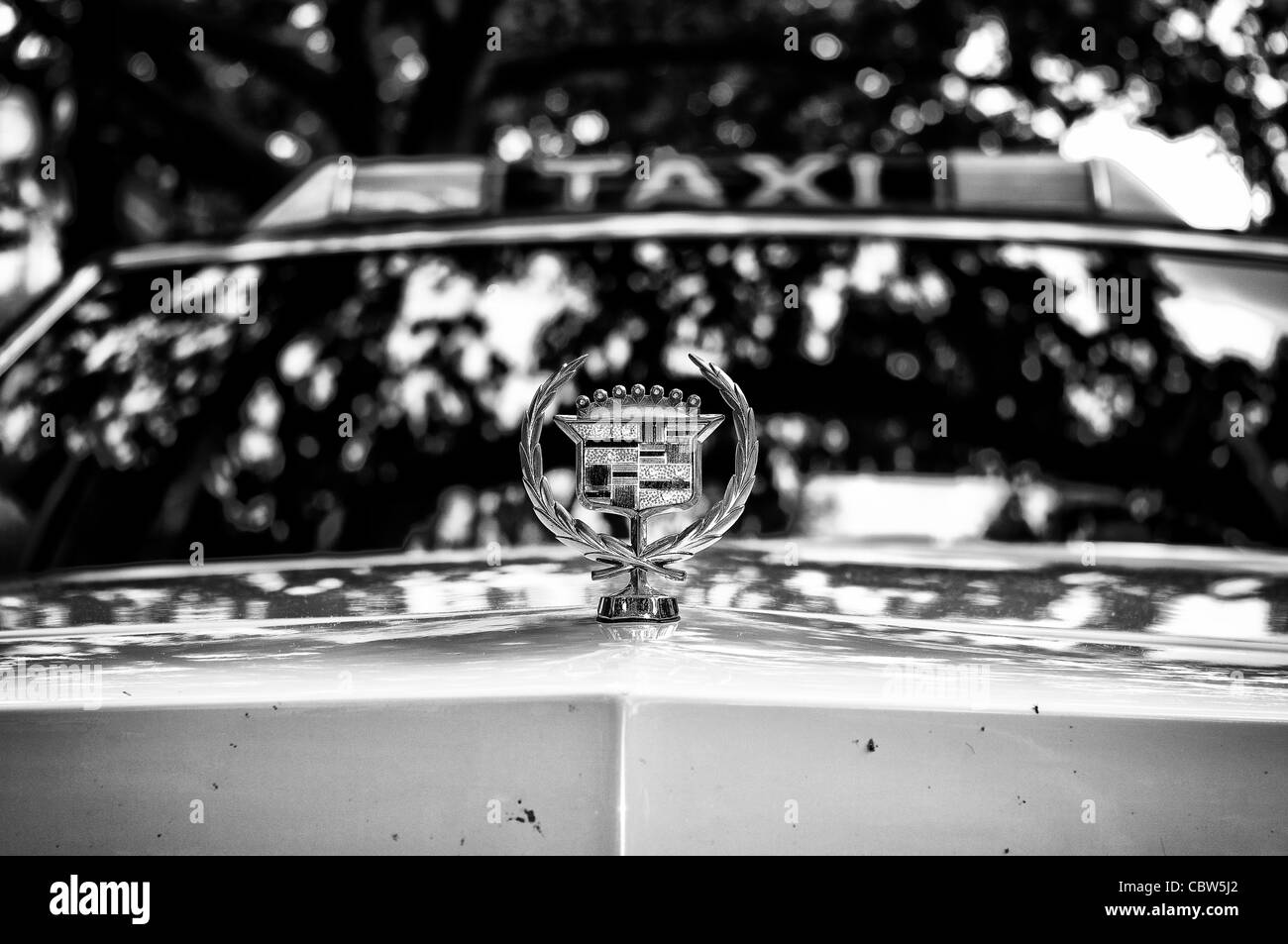 Radiator (engine cooling) and the emblem of the car Cadillac Fleetwood ...
