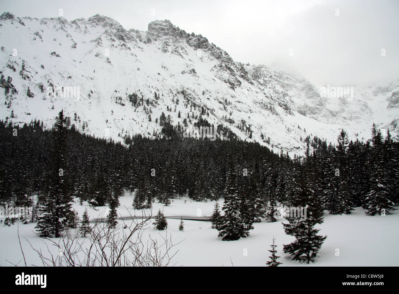 snow in the carpathian mountains in zakopane, poland. winter Stock ...