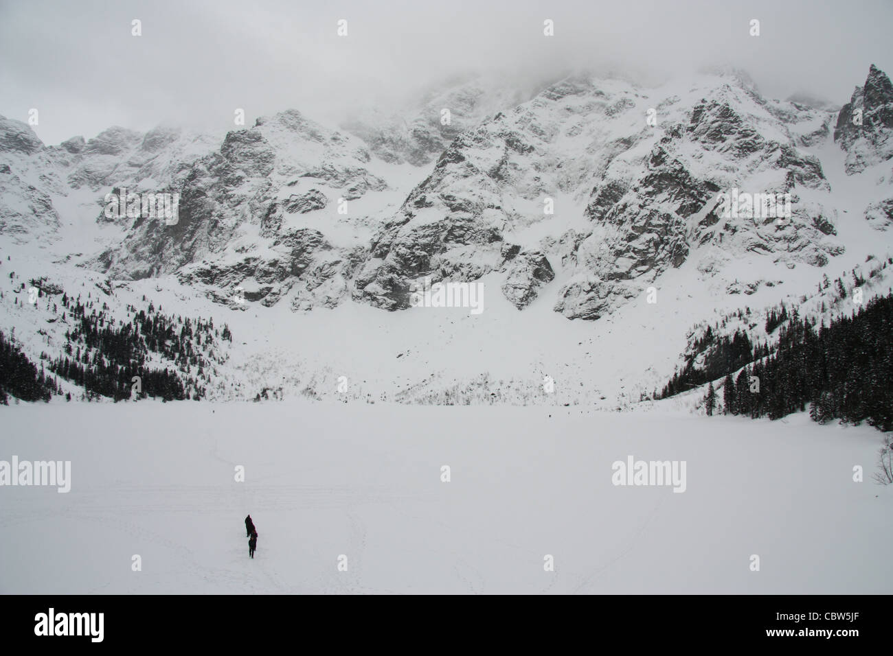 snow in the carpathian mountains in zakopane, poland. winter Stock ...