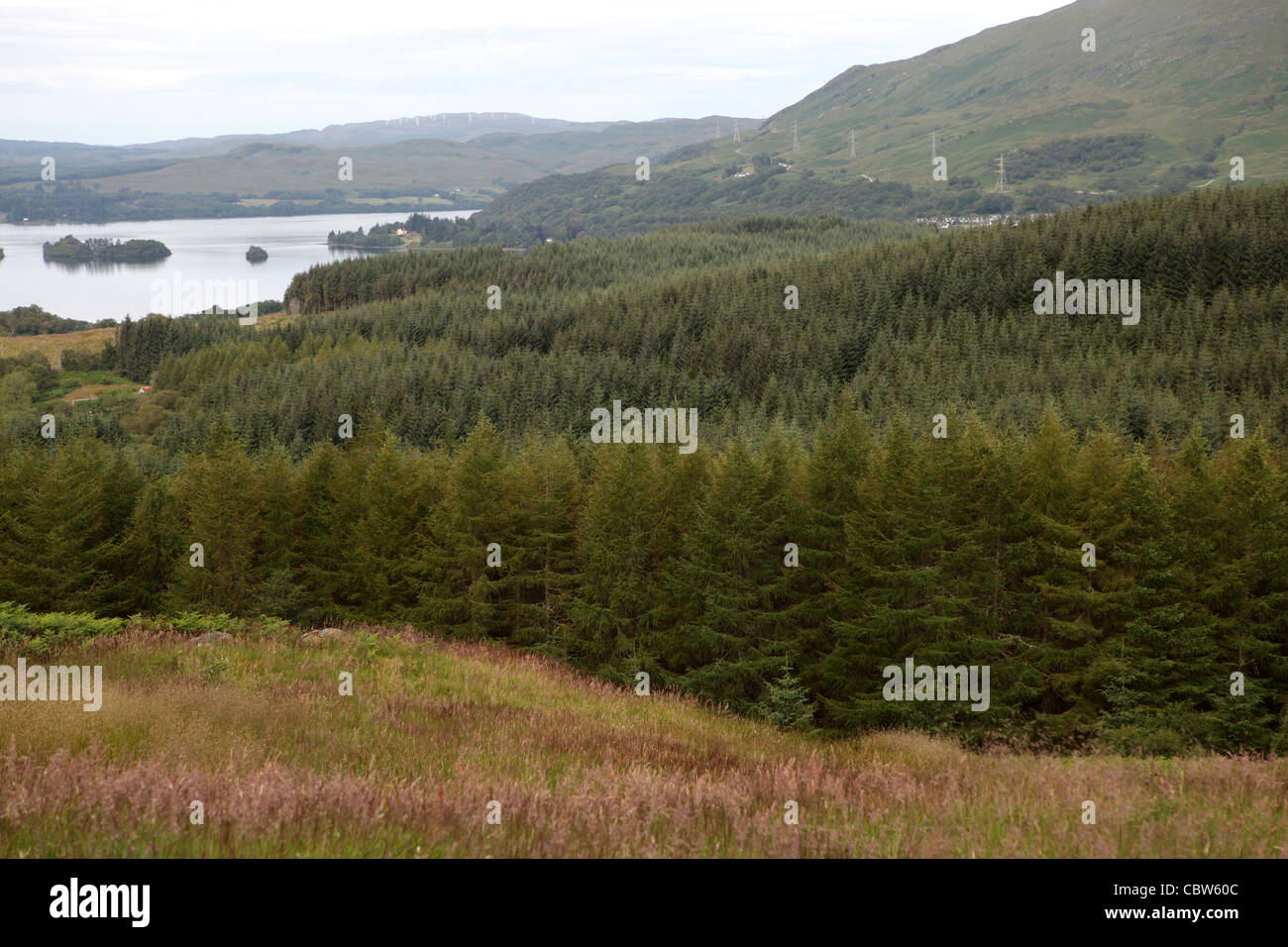 Duncan ban macintyre hi-res stock photography and images - Alamy
