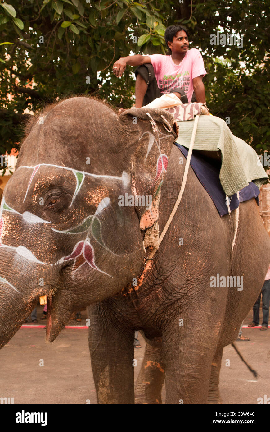 Teej Festival Jaipur India Stock Photo - Alamy