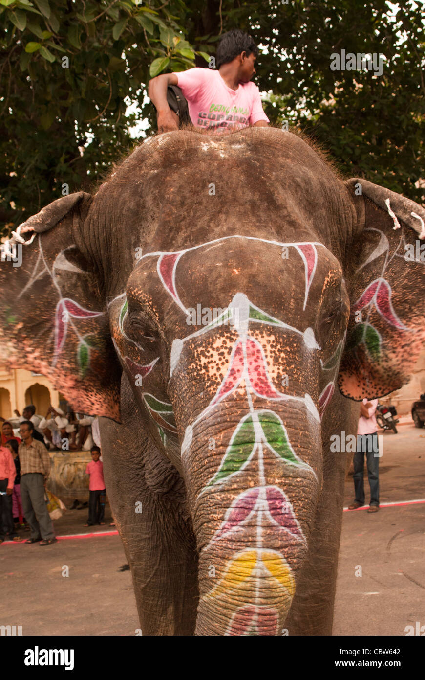 Teej Festival Jaipur India Stock Photo - Alamy