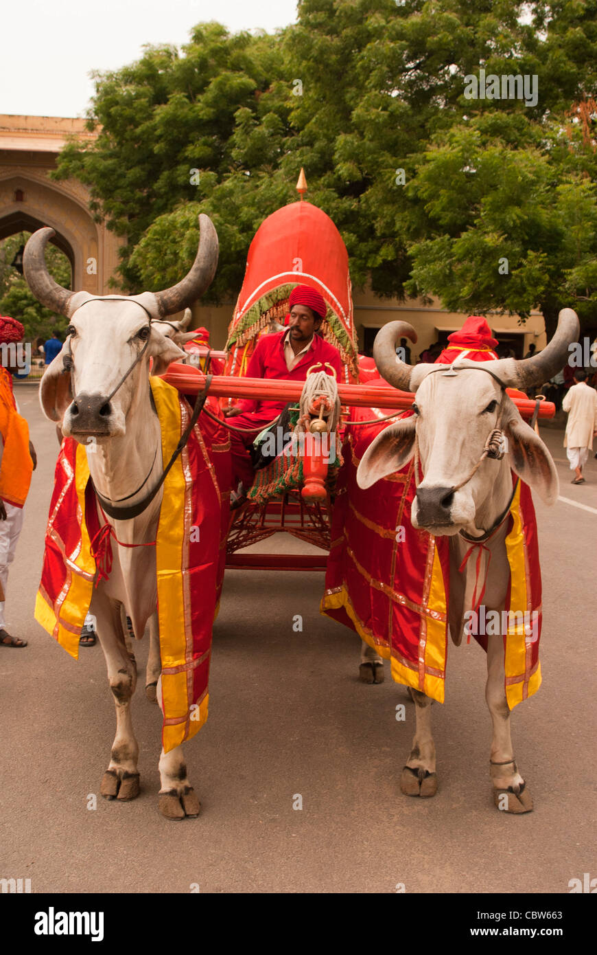 Teej Festival Jaipur India Stock Photo - Alamy
