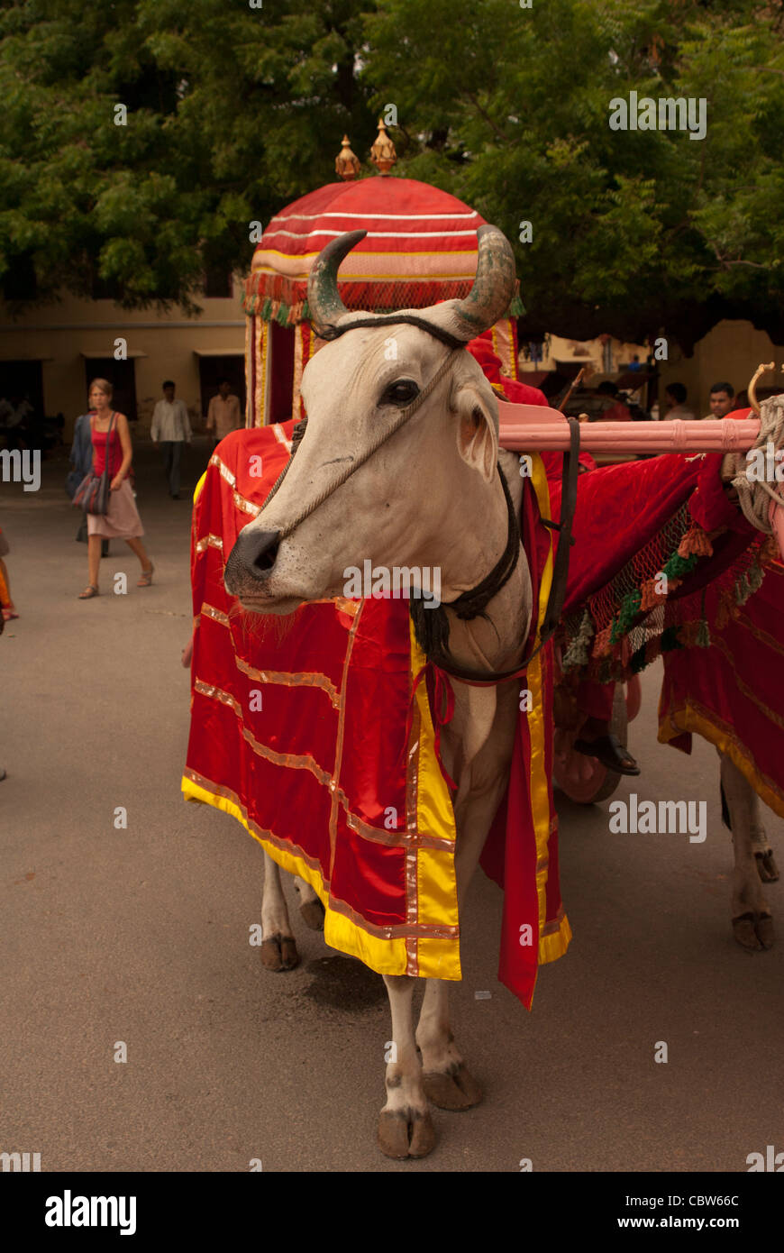 Teej india hi-res stock photography and images - Alamy