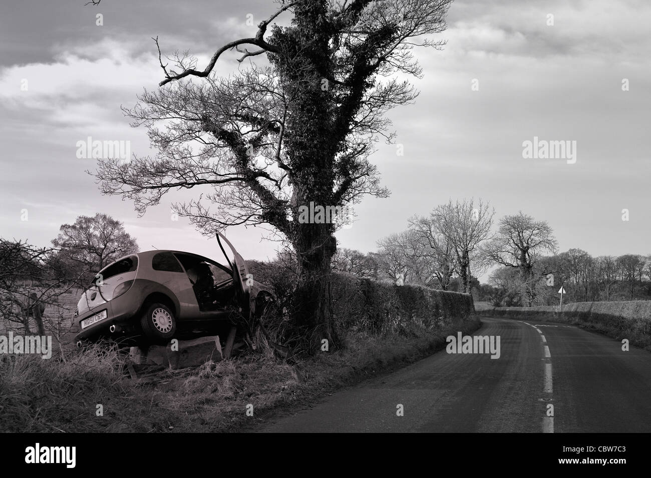 Car accident crash tree hi-res stock photography and images - Alamy