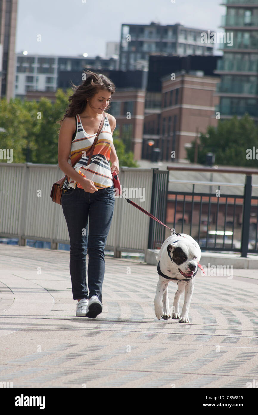 Woman walking large dog hi-res stock photography and images - Alamy