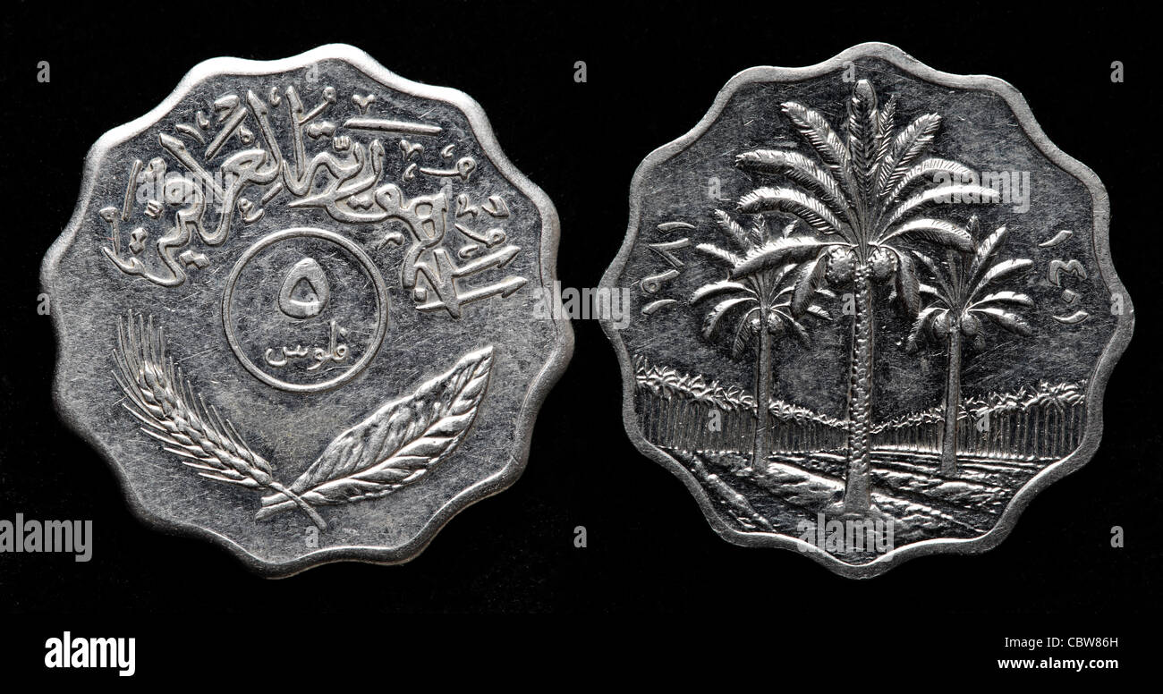 Iraqi Coins