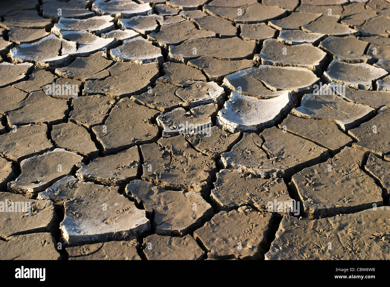 Salt mines pattern hi-res stock photography and images - Alamy