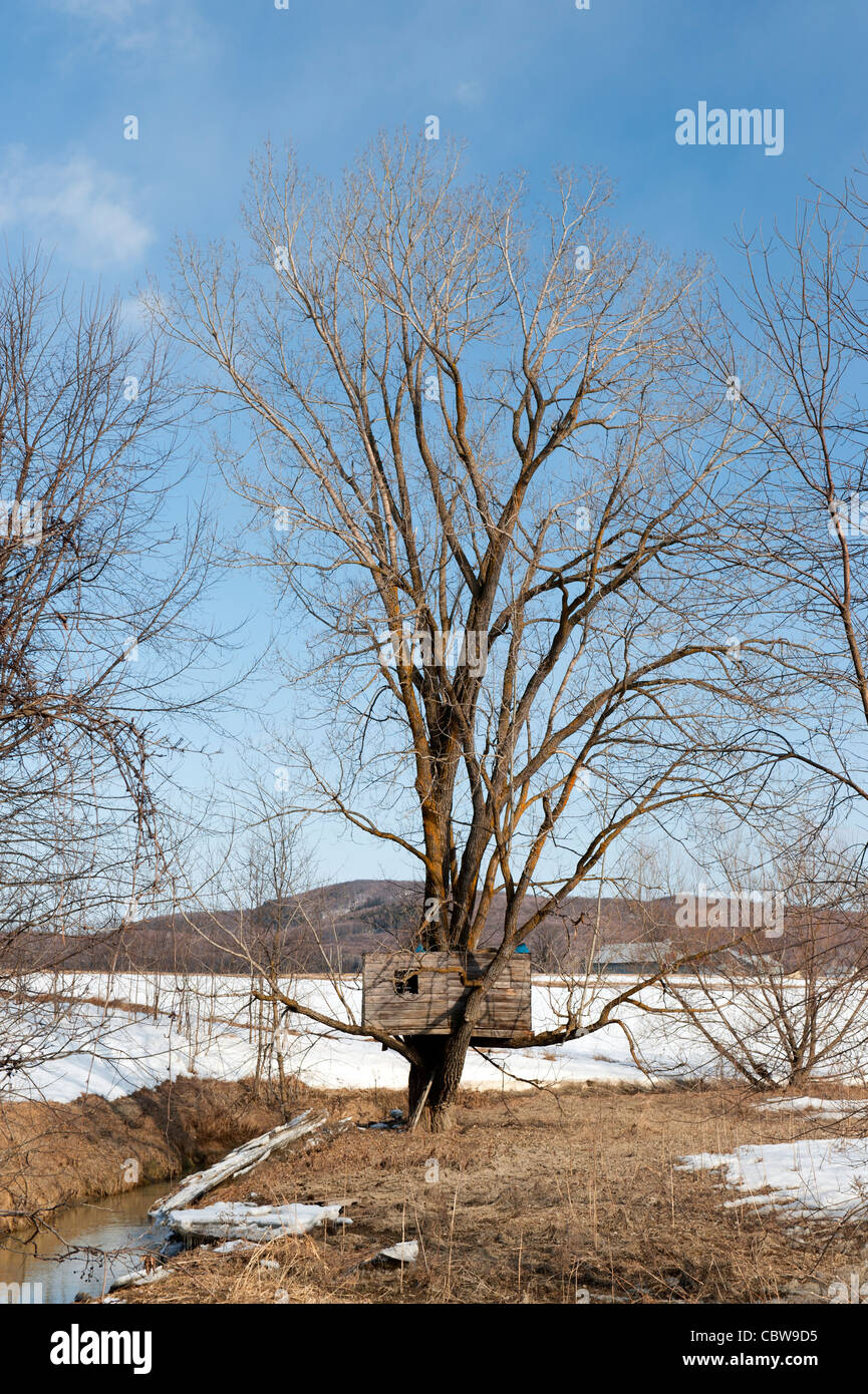 Abandoned treehouse hi-res stock photography and images - Alamy
